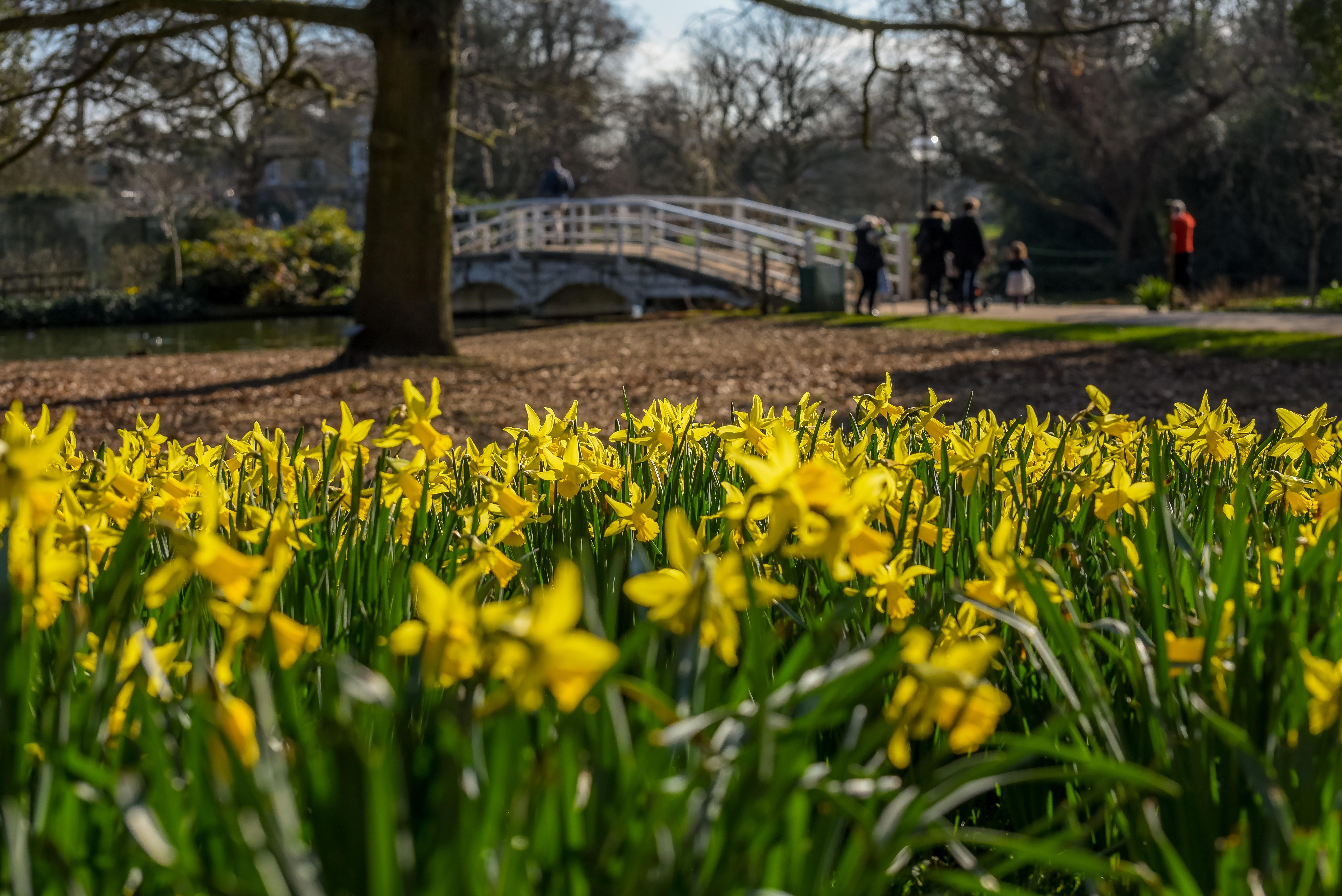 HURLINGHAM HOME - The Hurlingham Club